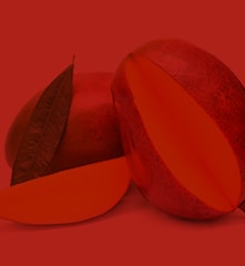 African Mango - Mango Afrykańskie - Oficjalna Strona